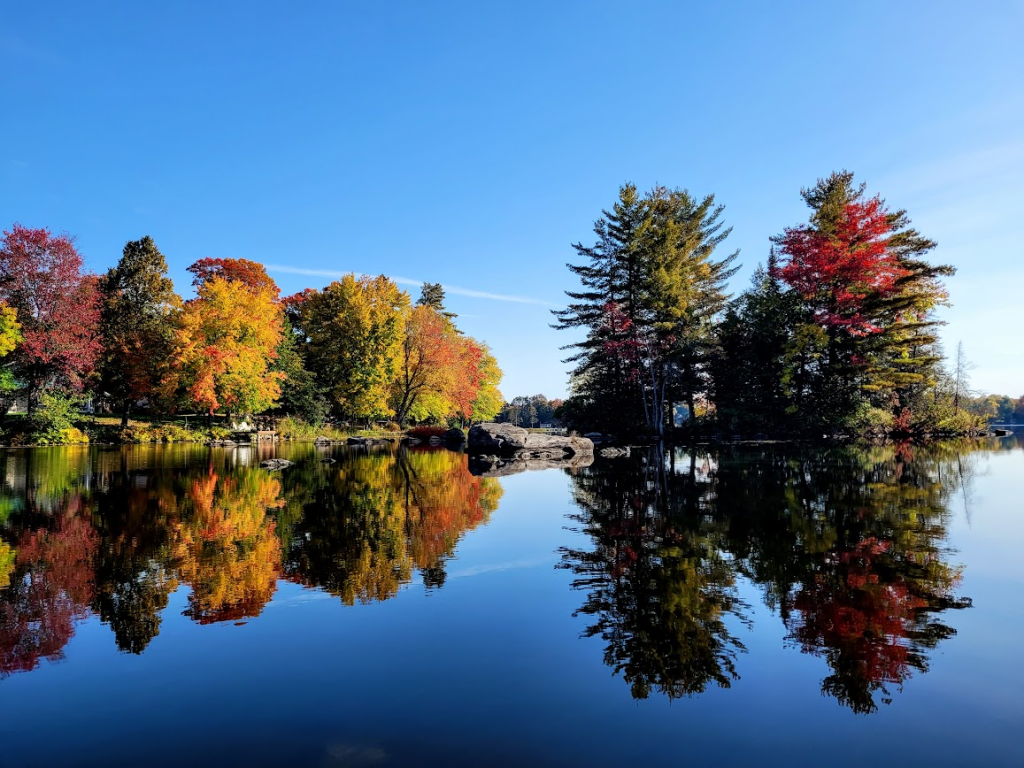 Spectacular fall colours – mathewingram.com/work