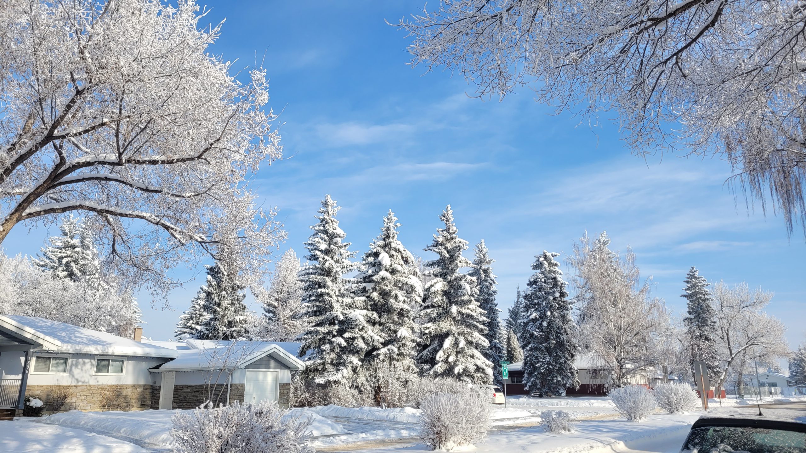 A trip to Narnia… er, Calgary – mathewingram.com/work